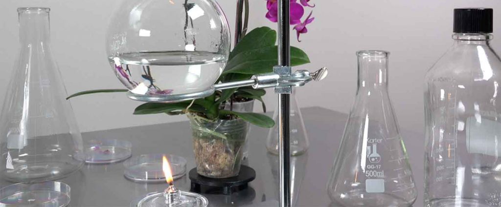 ‘The Flavor Genome’ by Anicka Yi at Espace Louis Vuitton