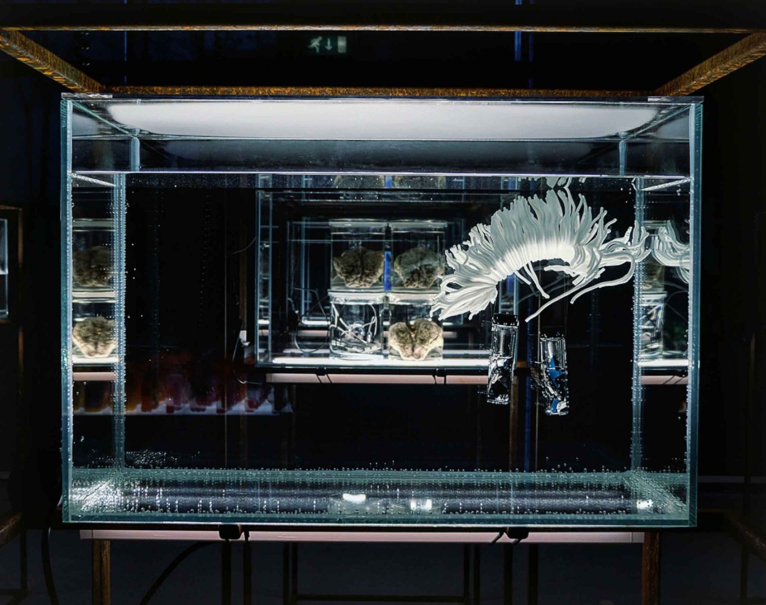 Ani Liu & NADA Miami 2020 at Elijah Wheat Showroom