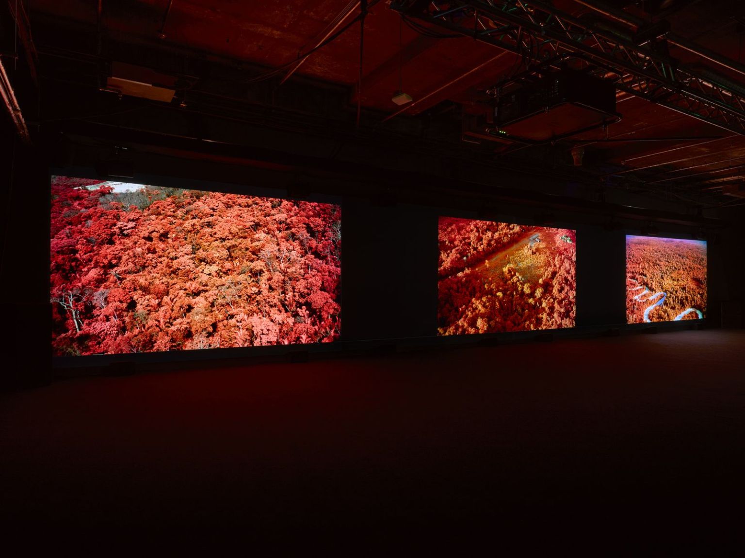 'Broken Spectre' by Richard Mosse, poignant Amazon