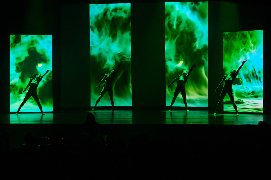 REN RI, on the relationship between bees & Humanity